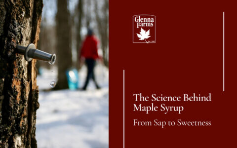 The Science Behind Maple Syrup: From Sap to Sweetness - Glenna Farms Blog